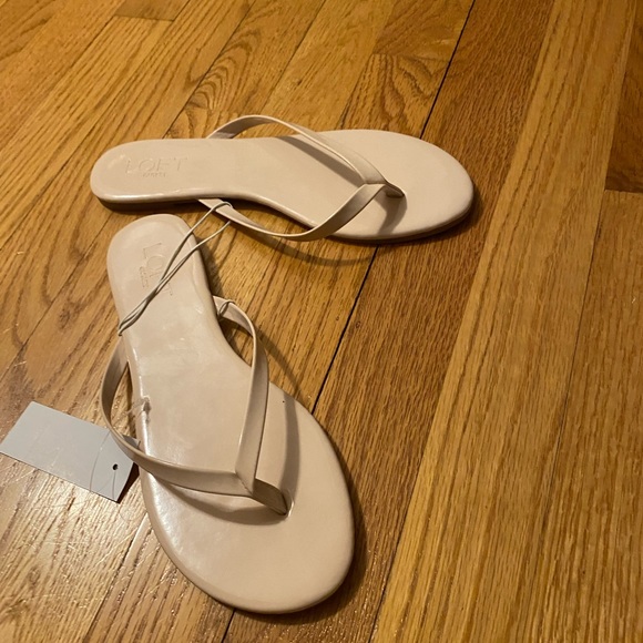 LOFT | Shoes | Nwt Loft Flip Flops | Poshmark